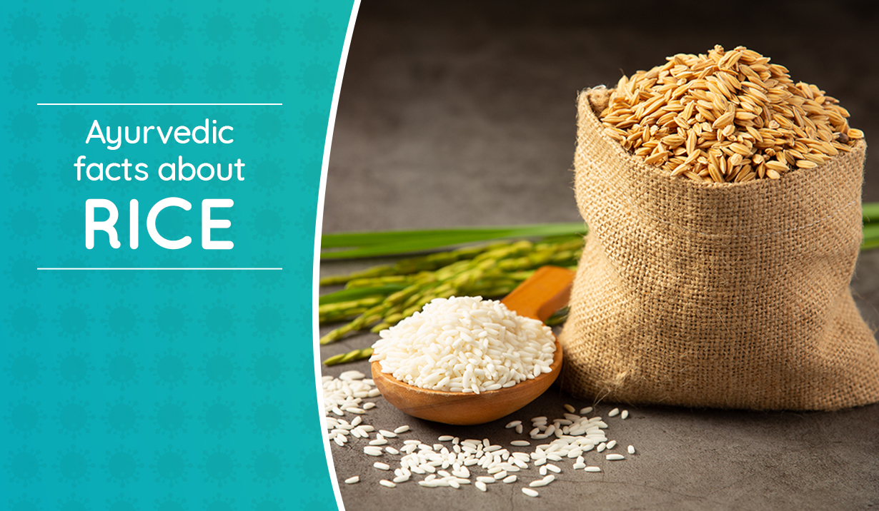 AYURVEDIC FACTS ABOUT RICE - Aayush Bharat Blog