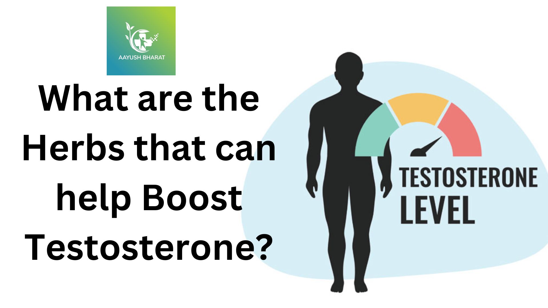 What Are The Herbs That Can Help Boost Testosterone Aayush Bharat Blog 1160