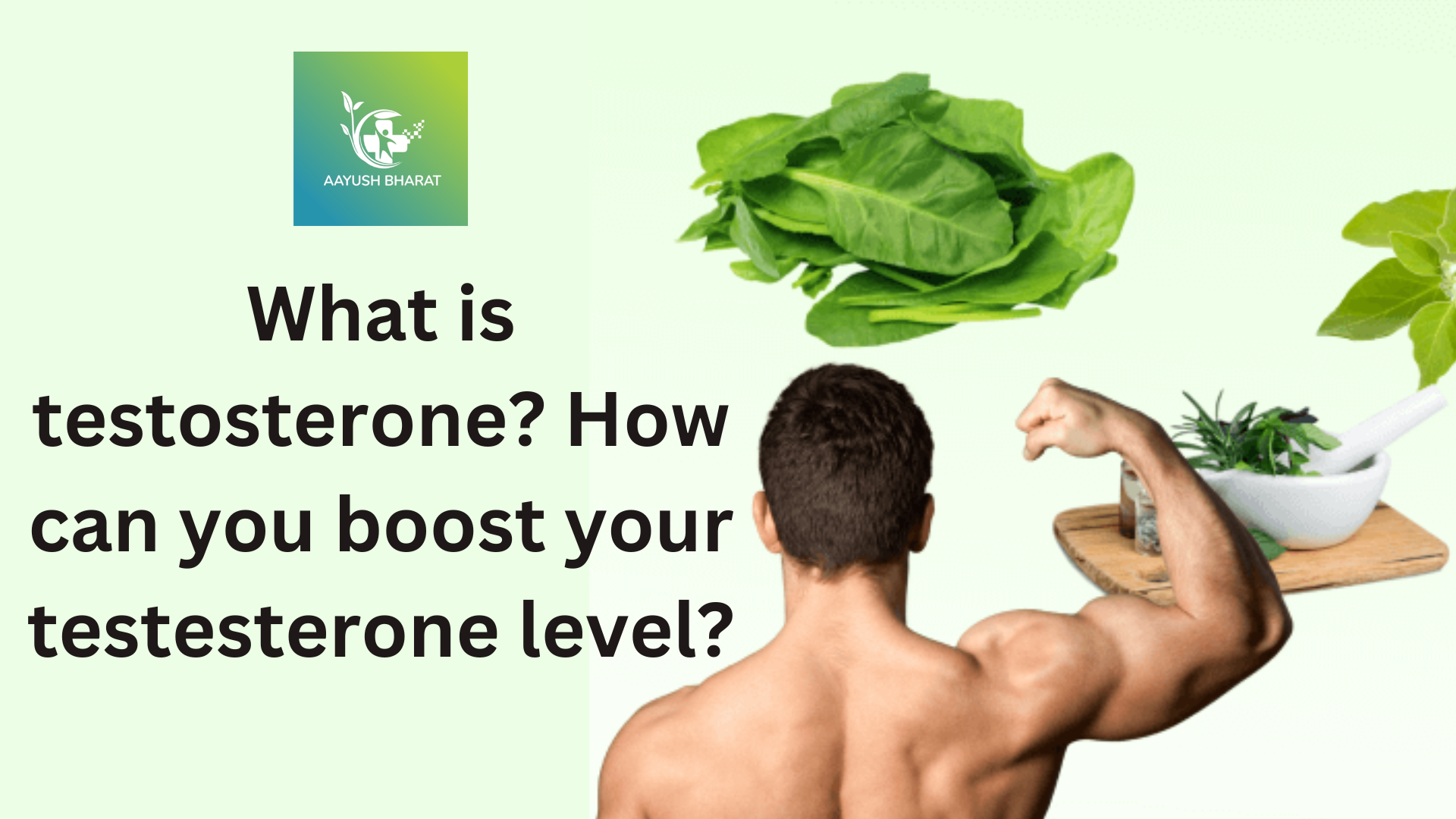 What is testosterone? How can you boost your testesterone level ...