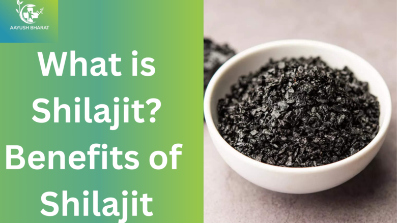 What is Shilajit? Benefits of Shilajit - Aayush Bharat Blog